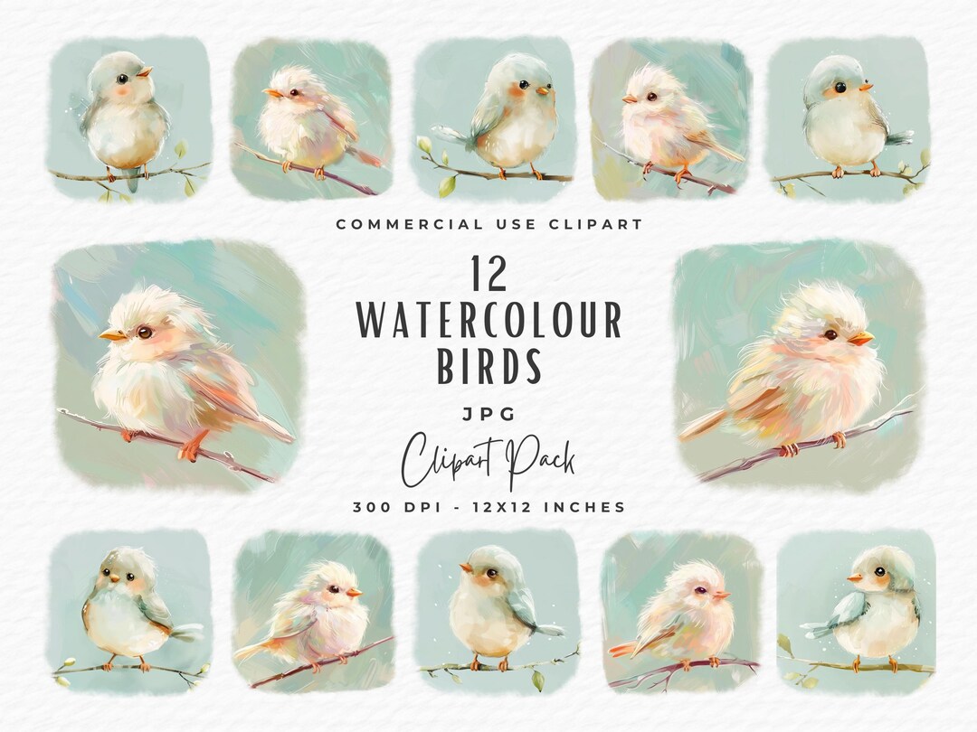 Watercolor Birds Clipart Bundle | 12 Watercolor Fluffy Bird ...