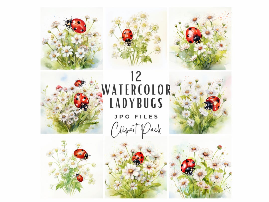 Watercolor Ladybug Clipart: Spring Insect Art (digital Download) - Etsy