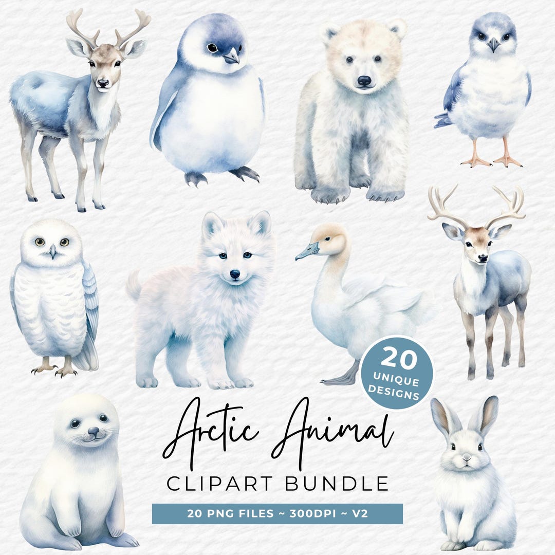 Watercolor Arctic Animal Clipart: Blue & White Polar Bear, Penguin, Owl ...