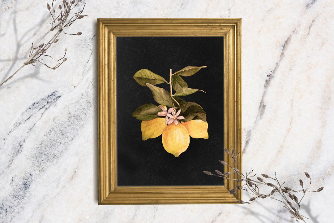 Moody Lemon Art Print, Unframed Still Life Painting, Original Fruit Art ...