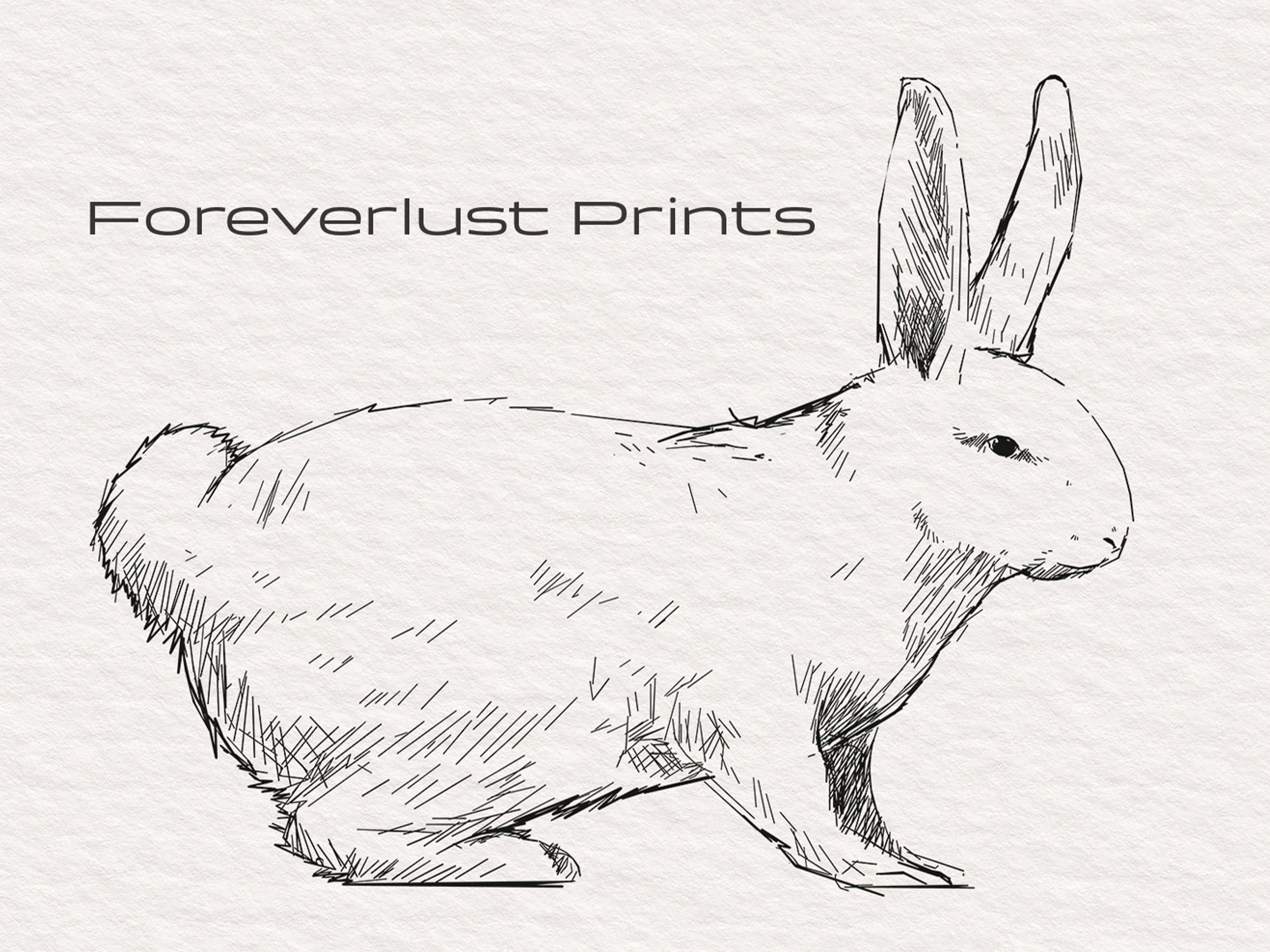 Bunny Art Print Bunny Ink Sketch Giclee Print Minimalist - Etsy