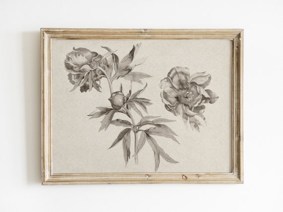 Vintage Botanical Sketch Antique Flower Drawing Printable - Etsy