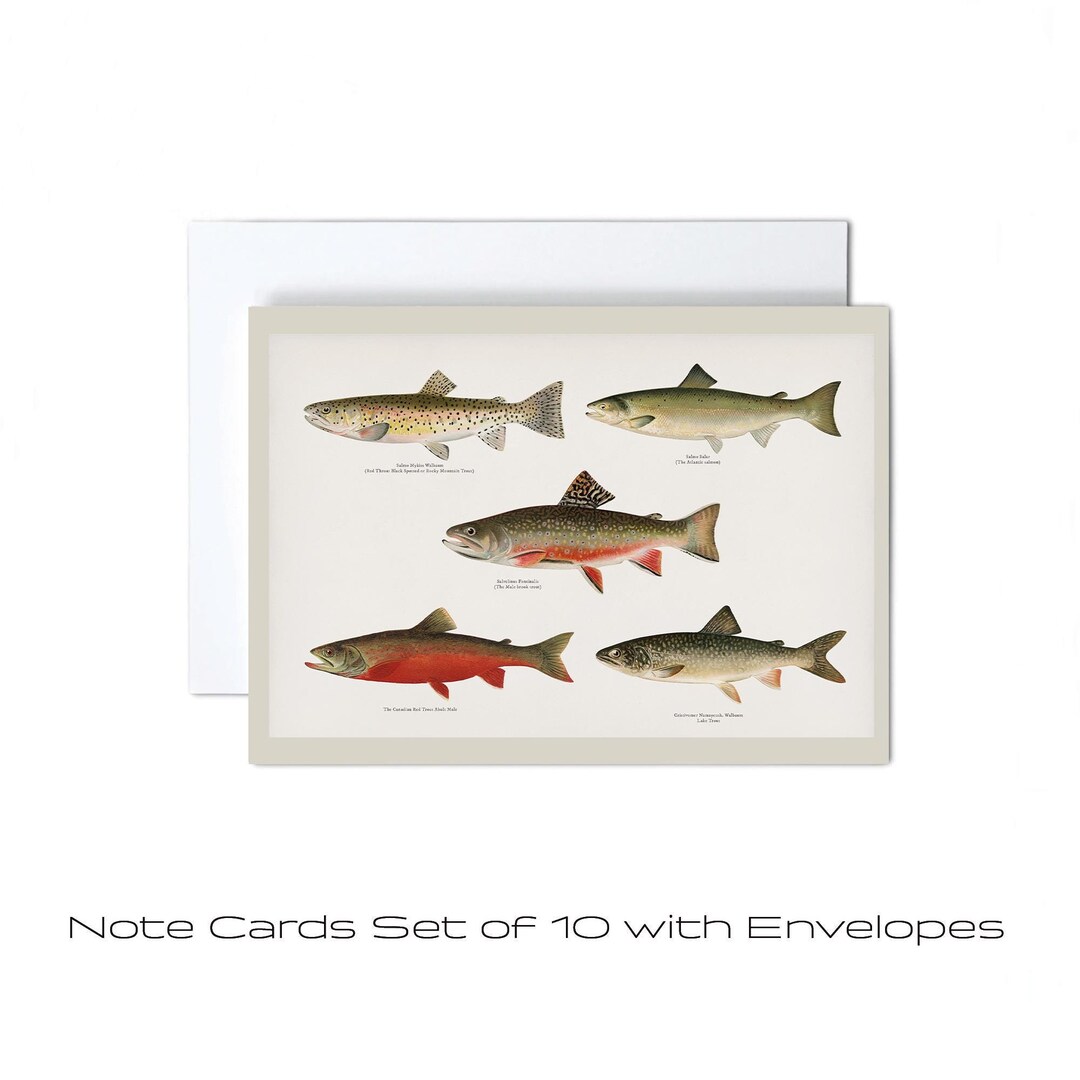 Fishing Note Cards, 10 Piece Pack Set, Fisherman Greeting Cards, Blank ...
