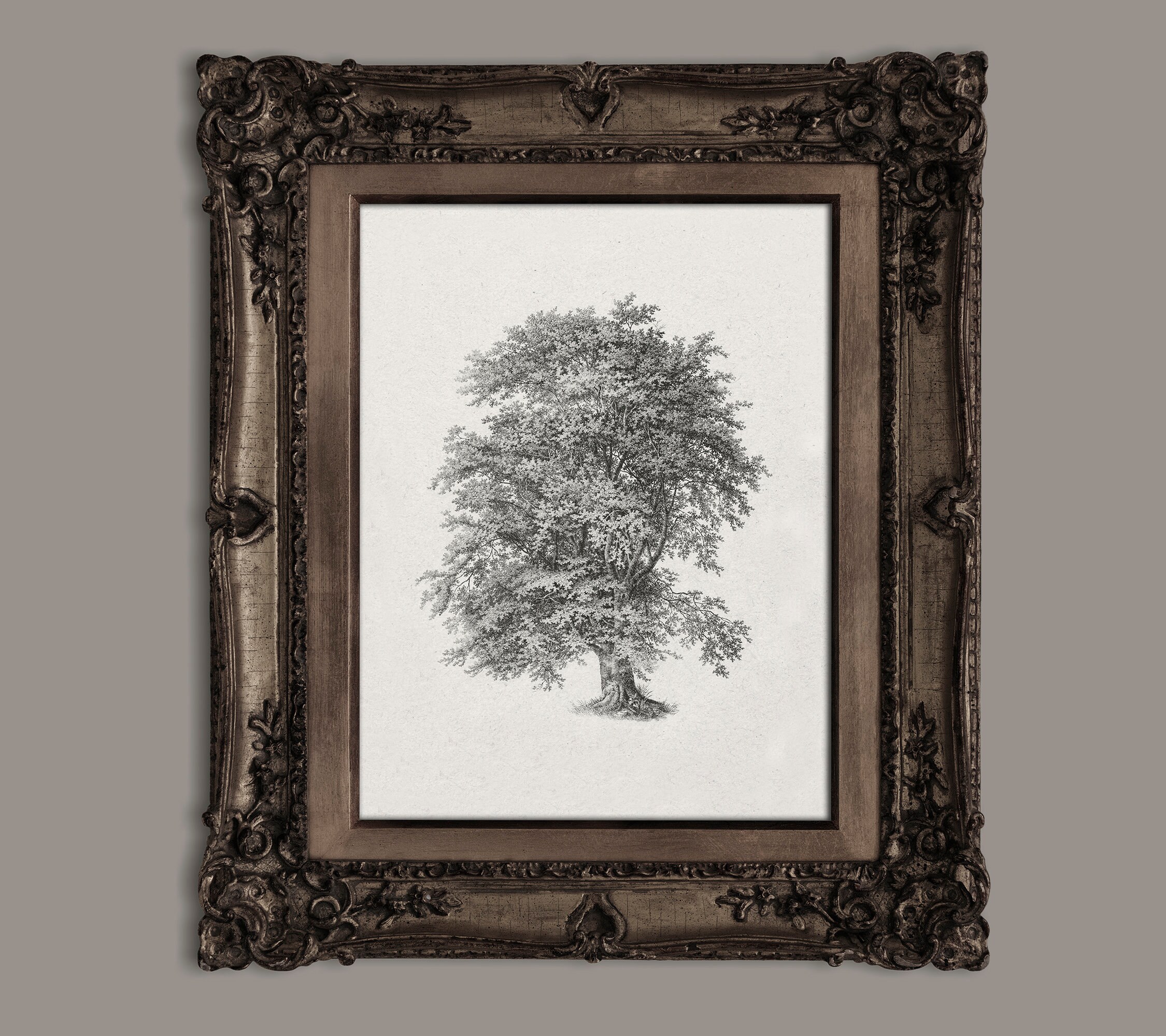 Neutral Tree Sketch, Vintage Tree Drawing Print, Rustic Farmhouse Wall ...