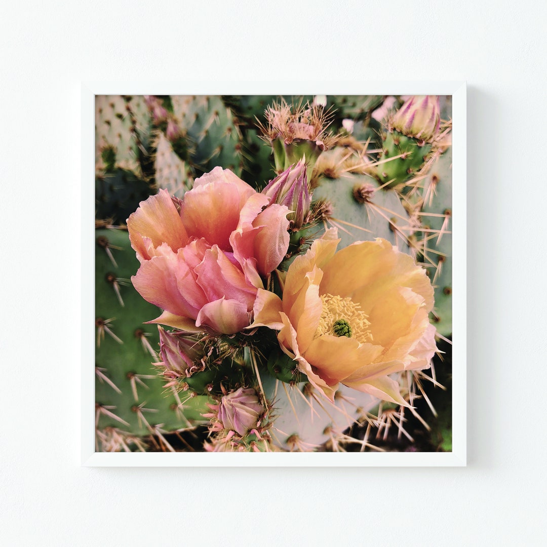 Printable Wall Art, Desert Cactus Print, Square Boho Home Decor ...
