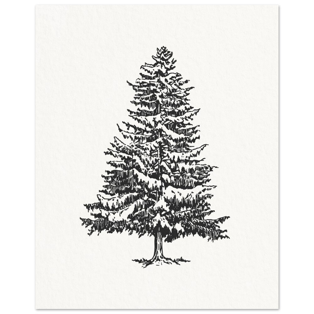 Pine Tree Art Print Tree Ink Sketch Print Minimalist Winter - Etsy