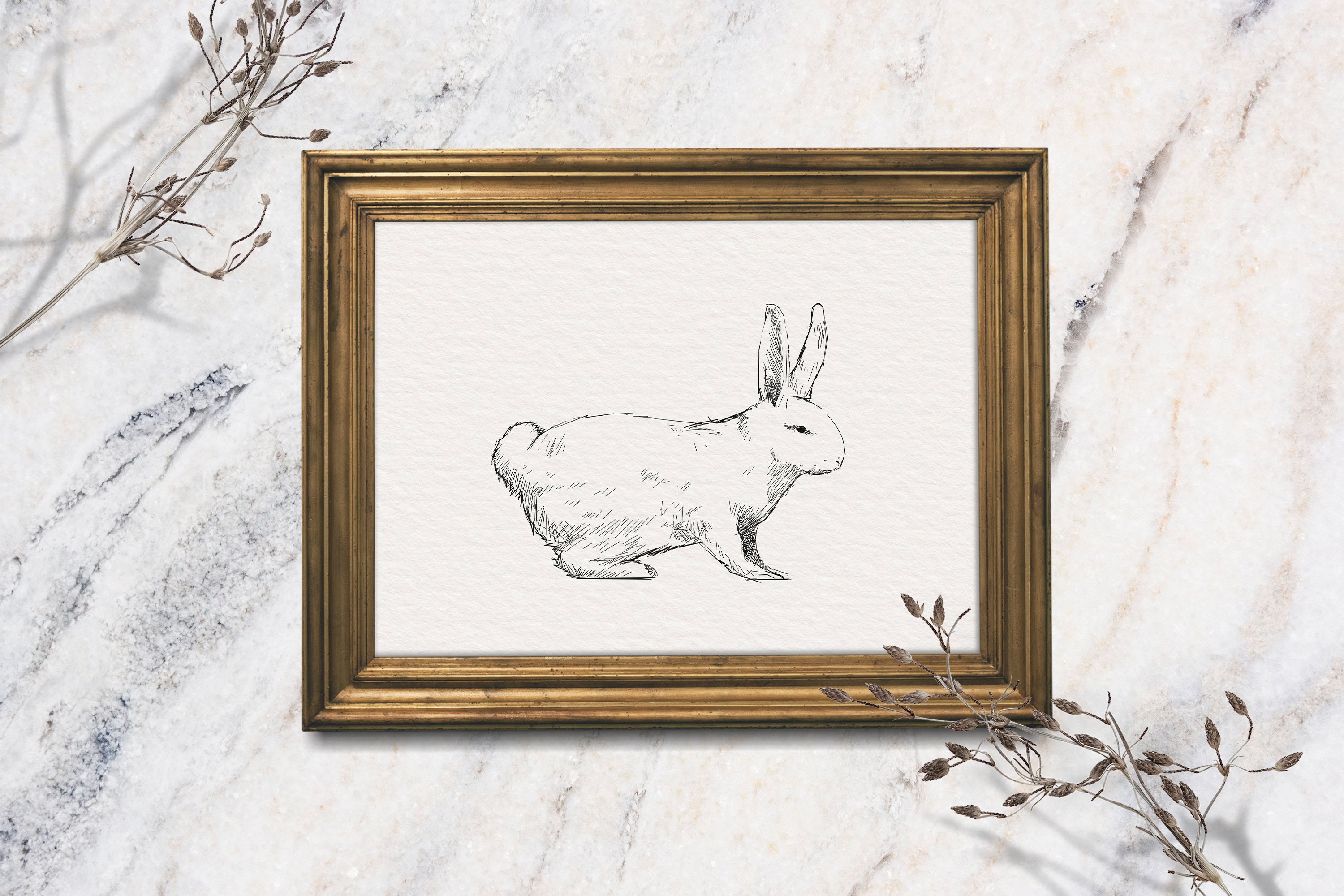 Bunny Art Print Bunny Ink Sketch Giclee Print Minimalist - Etsy