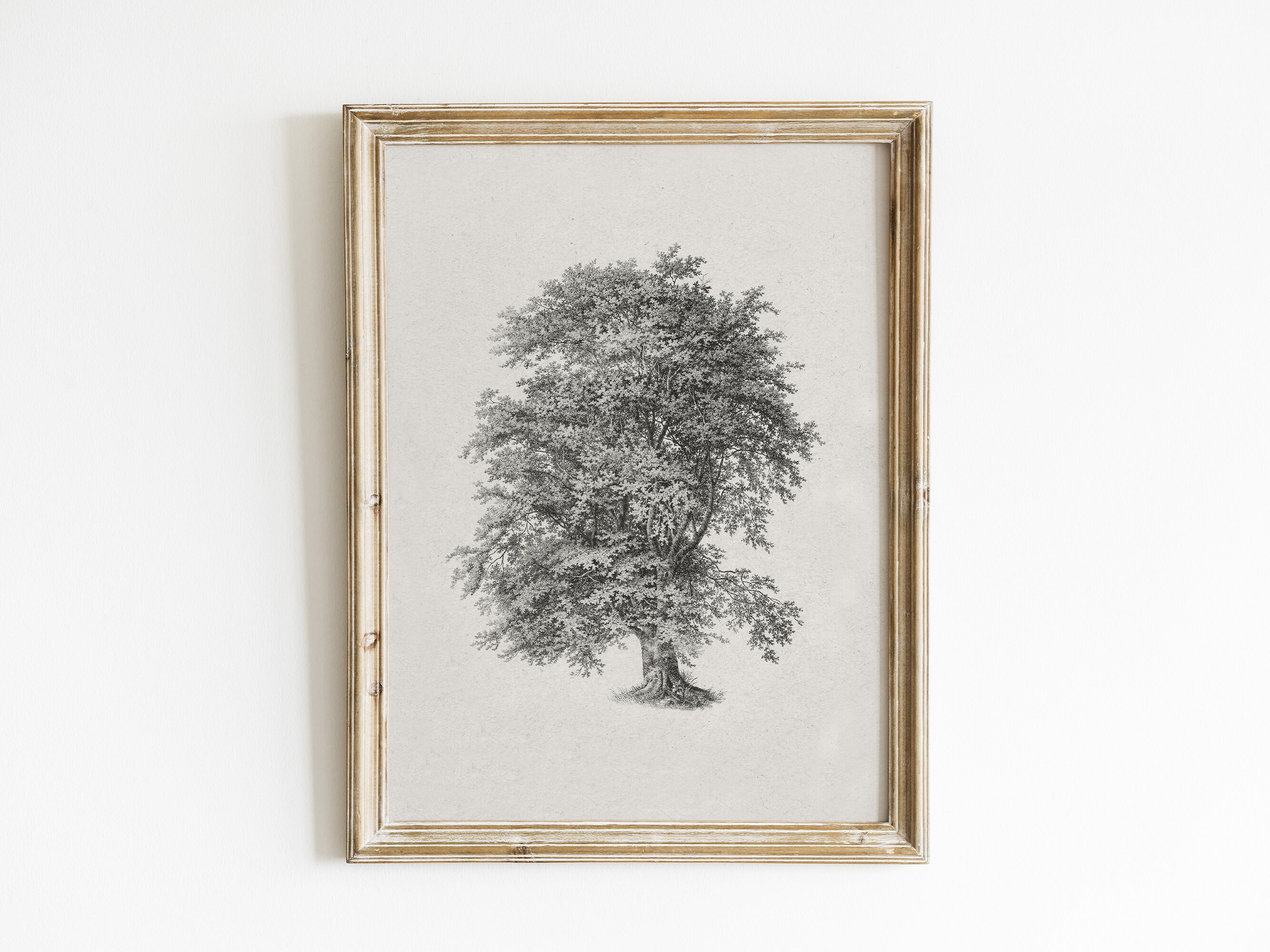 Neutral Tree Sketch, Vintage Tree Drawing Print, Rustic Farmhouse Wall ...