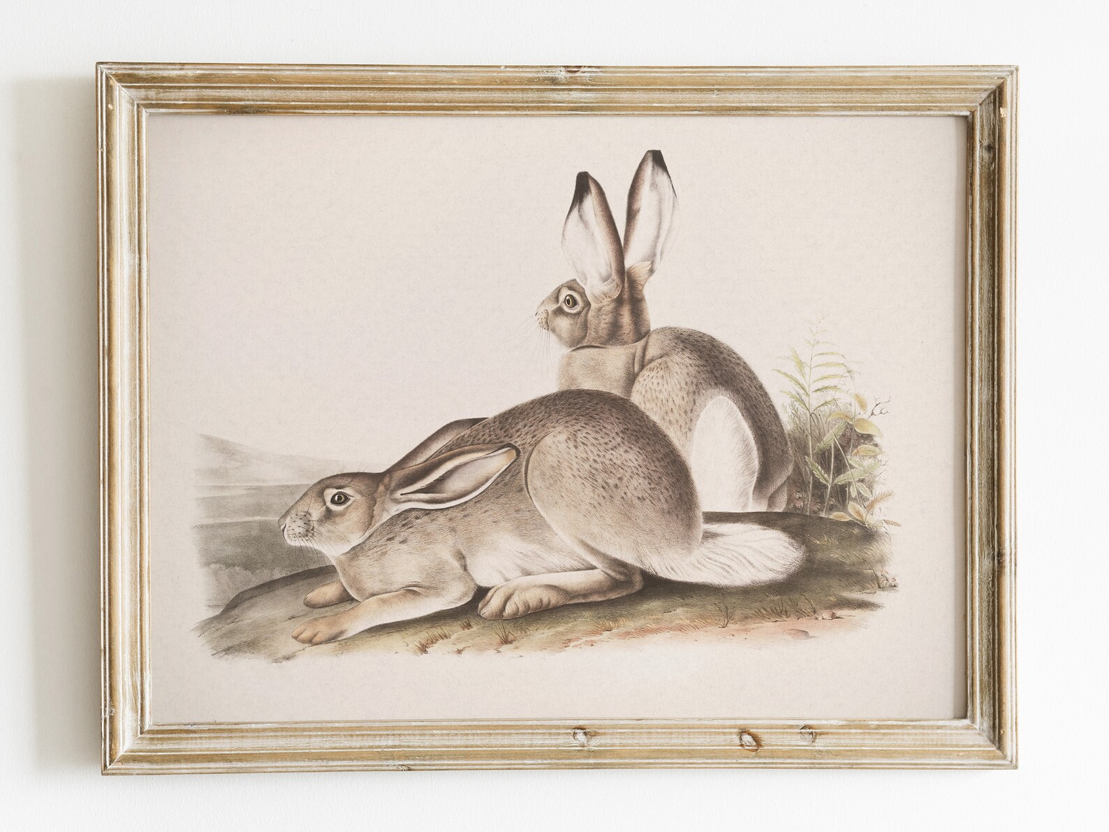 Vintage Rabbit Nursery Print Rustic Country Painting Antique - Etsy