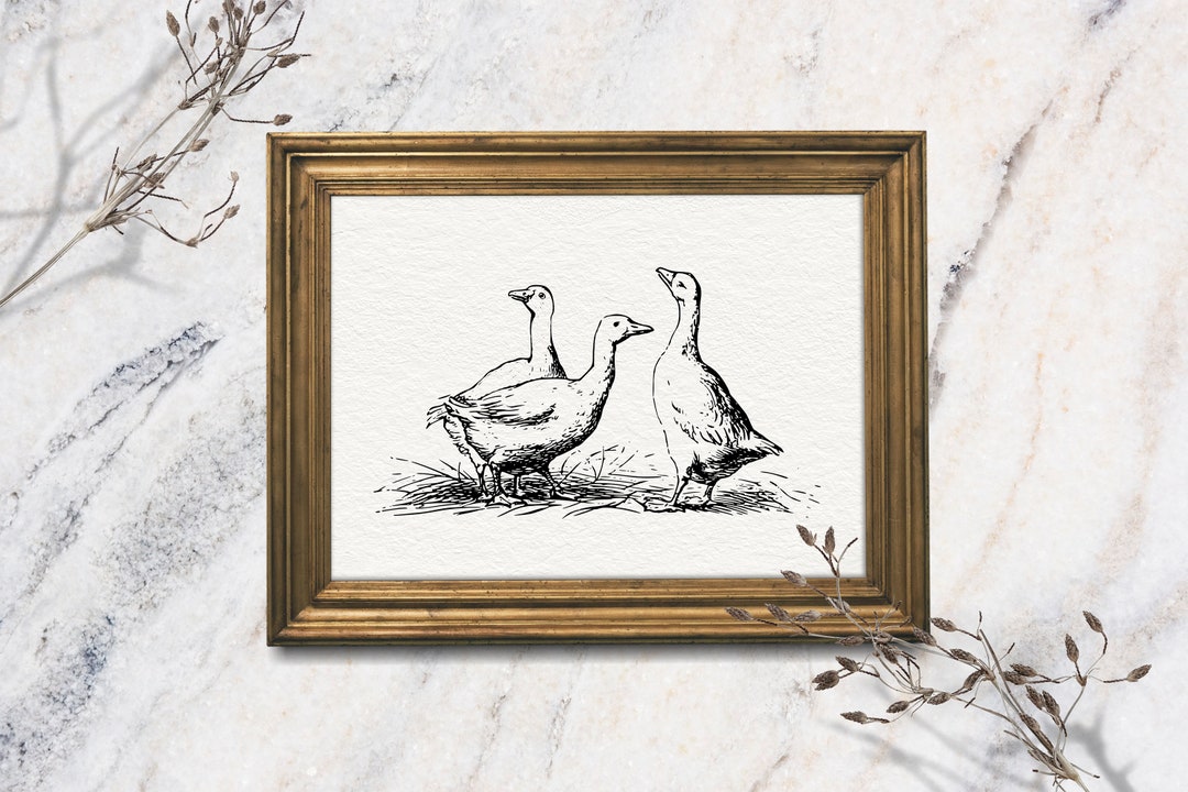 Duck Art Print, Bird Drawing Ink Sketch Giclee Print, Minimalist Duck ...