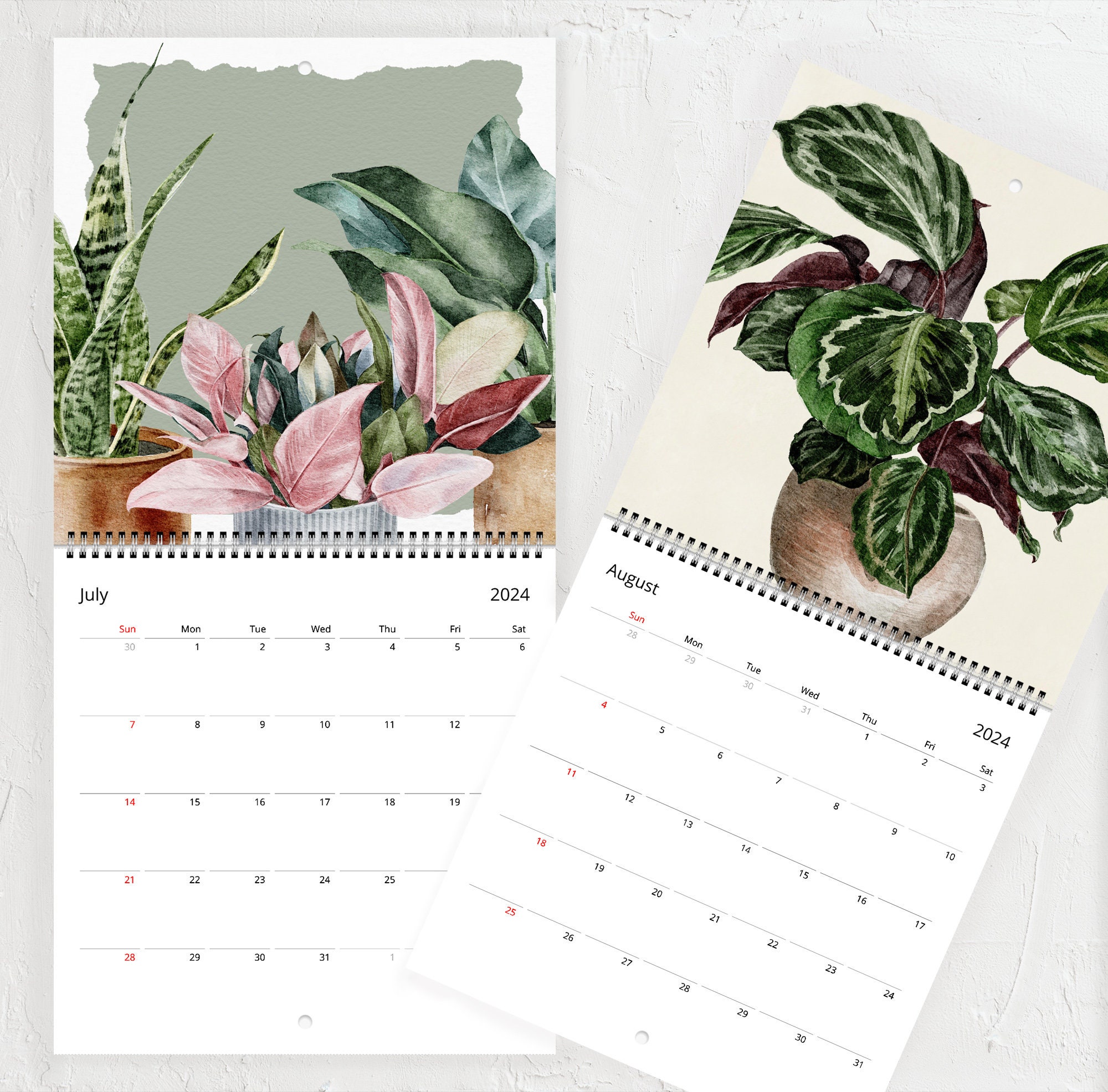 Houseplant 2024 Wall Calendar, Plant Lover Gift, Green Queen Wall Art ...