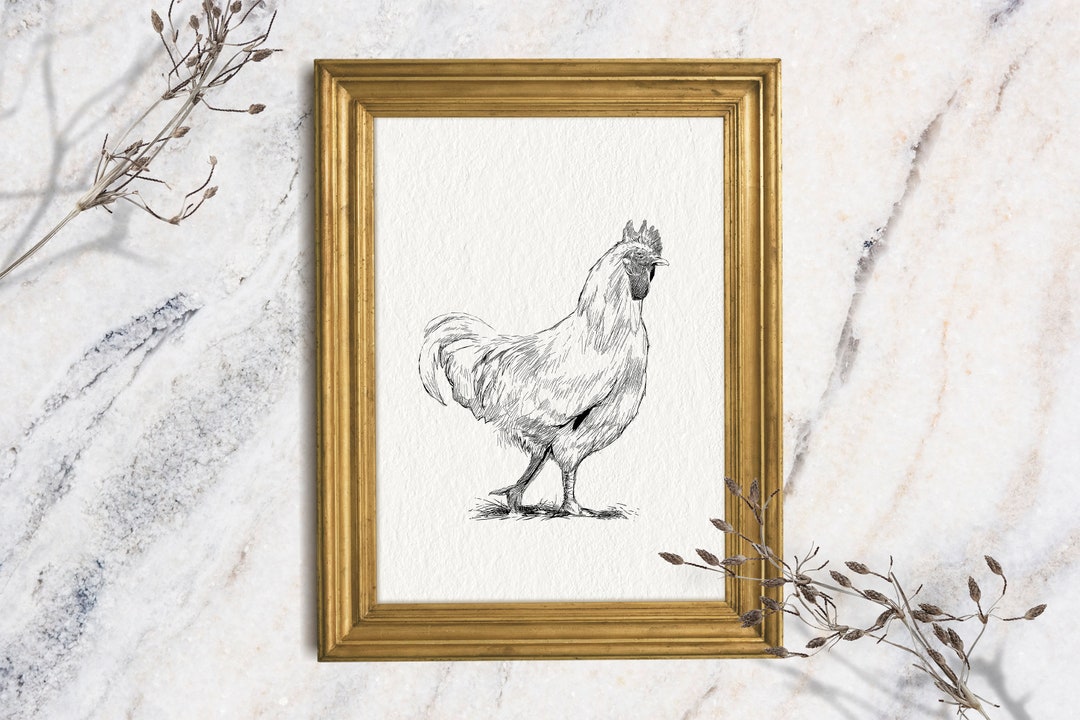 Rooster Ink Sketch, Original Drawing Print, Minimalist Farm Animal Wall ...