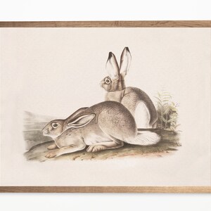 Vintage Rabbit Nursery Print, Rustic Country Painting, Antique ...