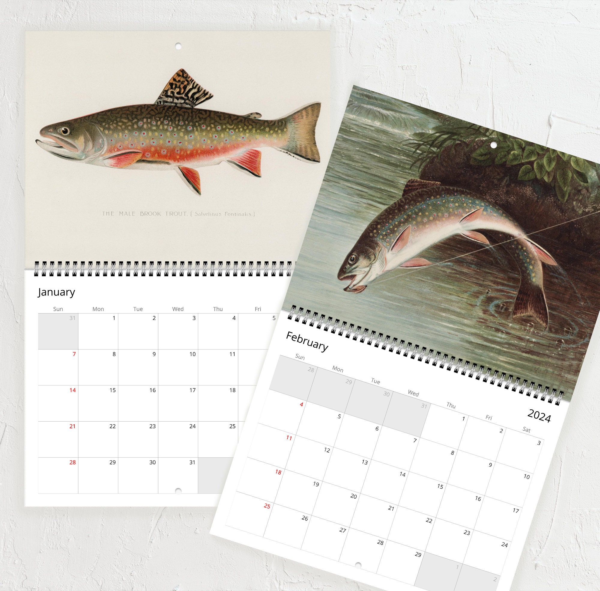 Fishing Wall Calendar 2024, Fisherman Gift, Fishing Enthusiast, Vintage ...