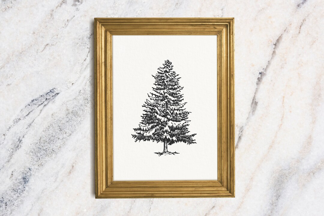 Pine Tree Art Print Tree Ink Sketch Print Minimalist Winter - Etsy