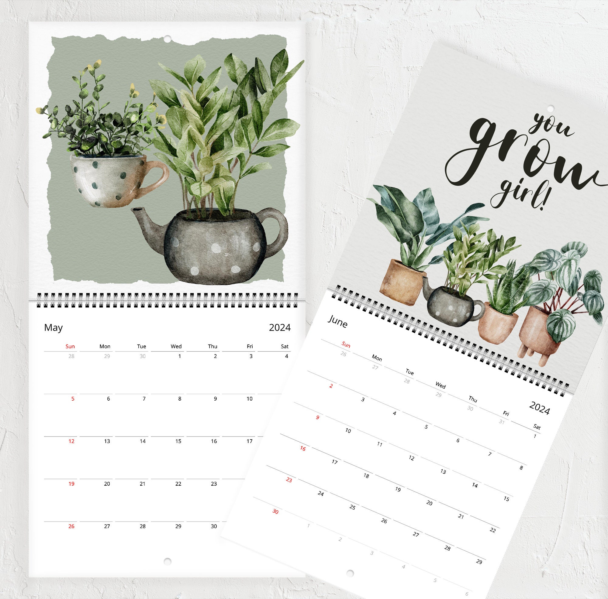 Houseplant 2024 Wall Calendar, Plant Lover Gift, Green Queen Wall Art ...