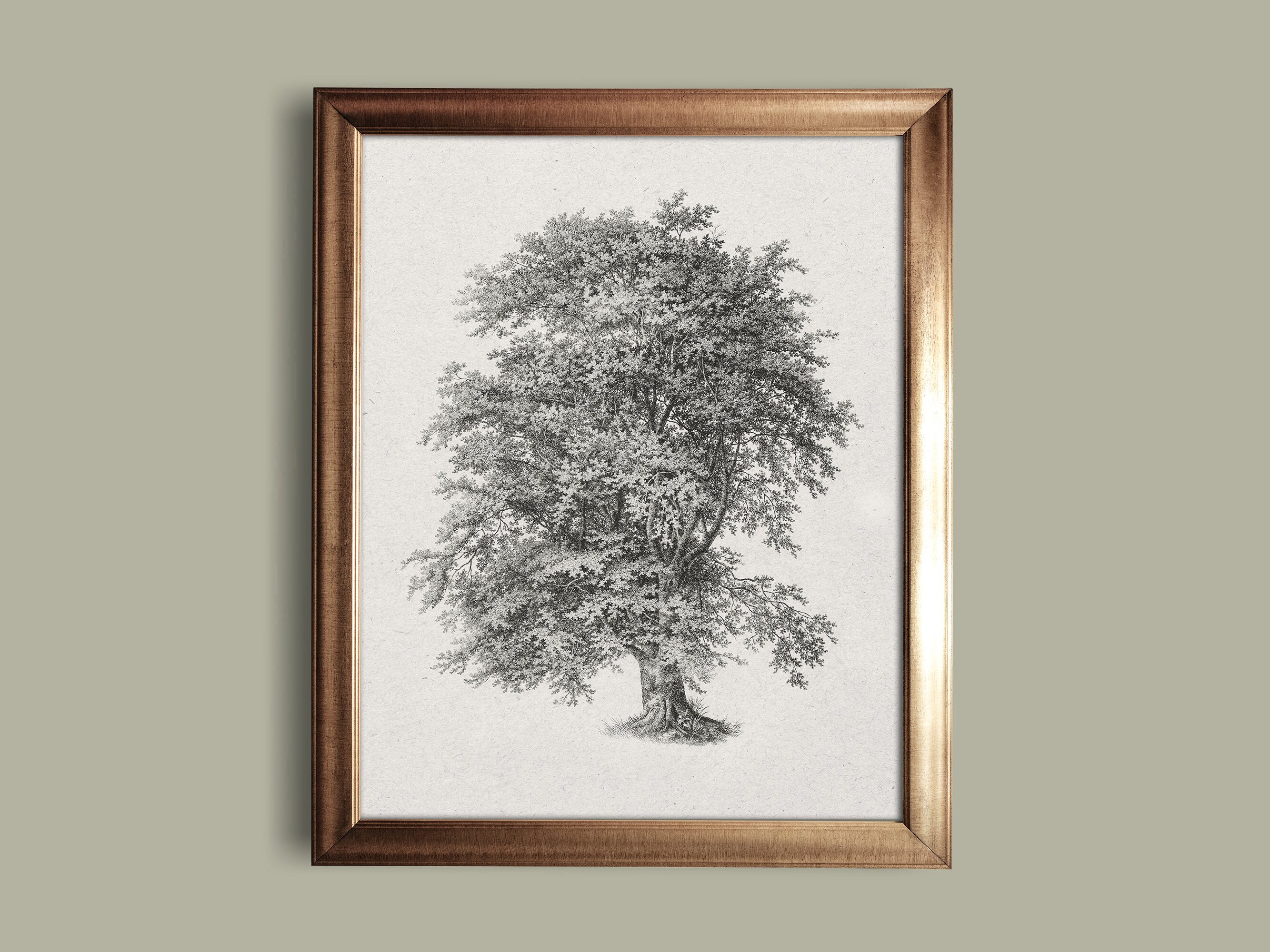 Neutral Tree Sketch, Vintage Tree Drawing Print, Rustic Farmhouse Wall ...