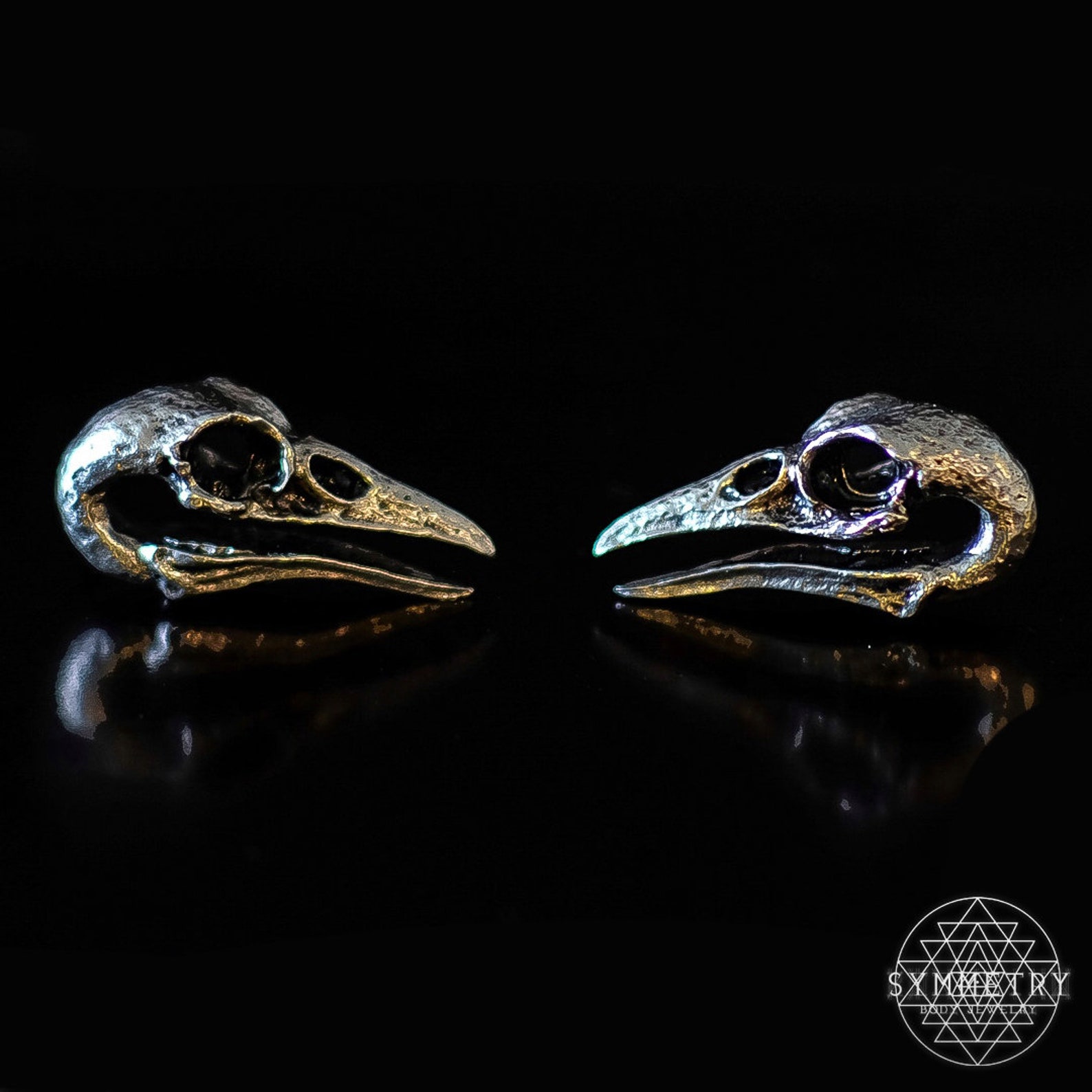 Bird Skull - Etsy