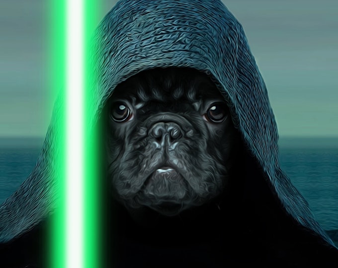 Custom Star Wars Pet Portrait Luke Skywalker Dog Portrait - Etsy