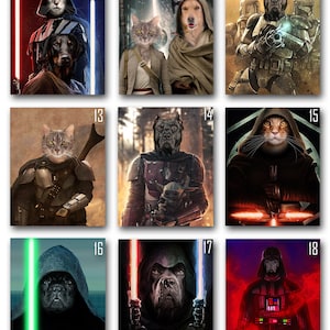 Custom Star Wars Pet Portrait, Luke Skywalker Dog Portrait, Star Wars ...