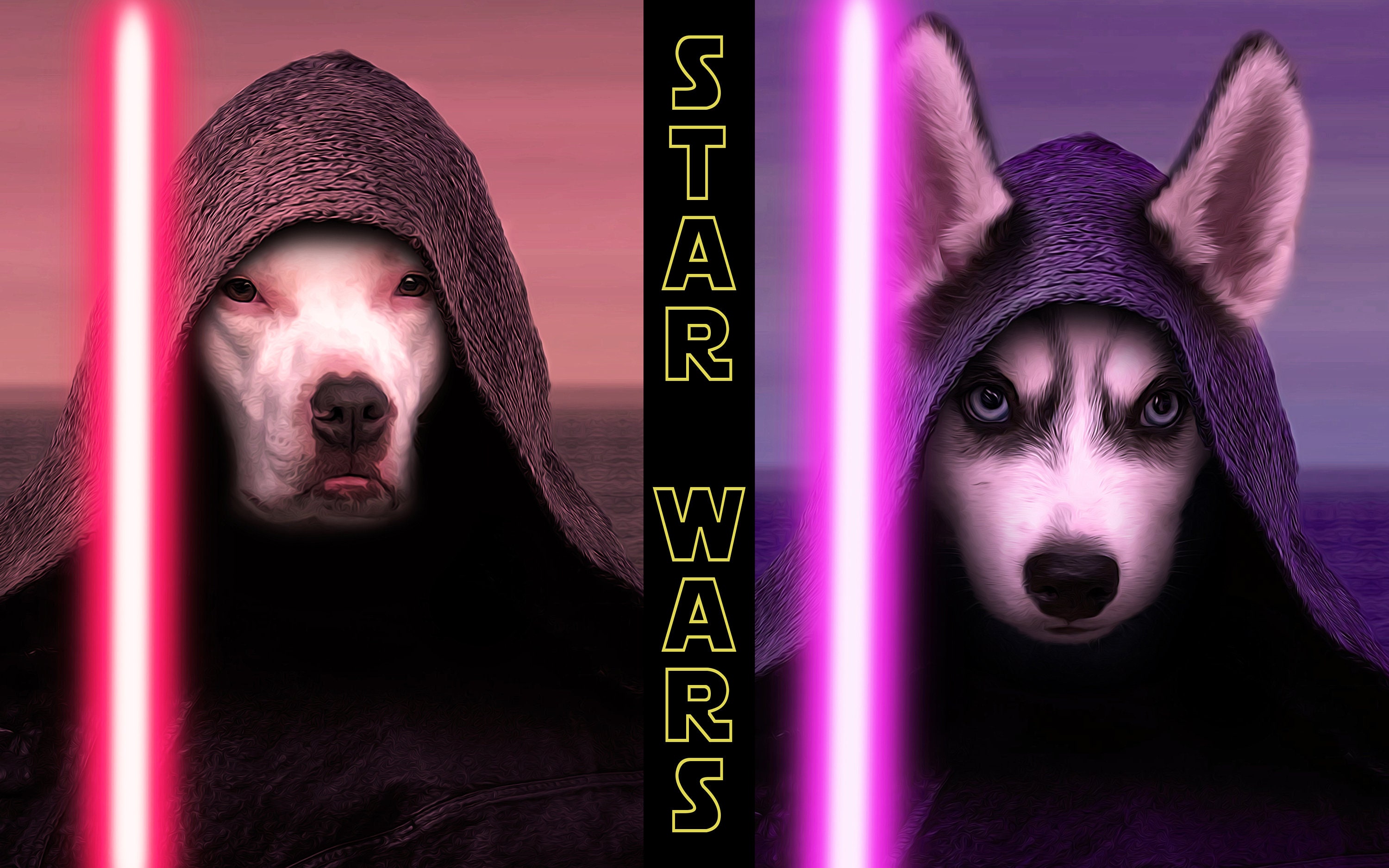 Custom Star Wars Pet Portrait Luke Skywalker Dog Portrait | Etsy