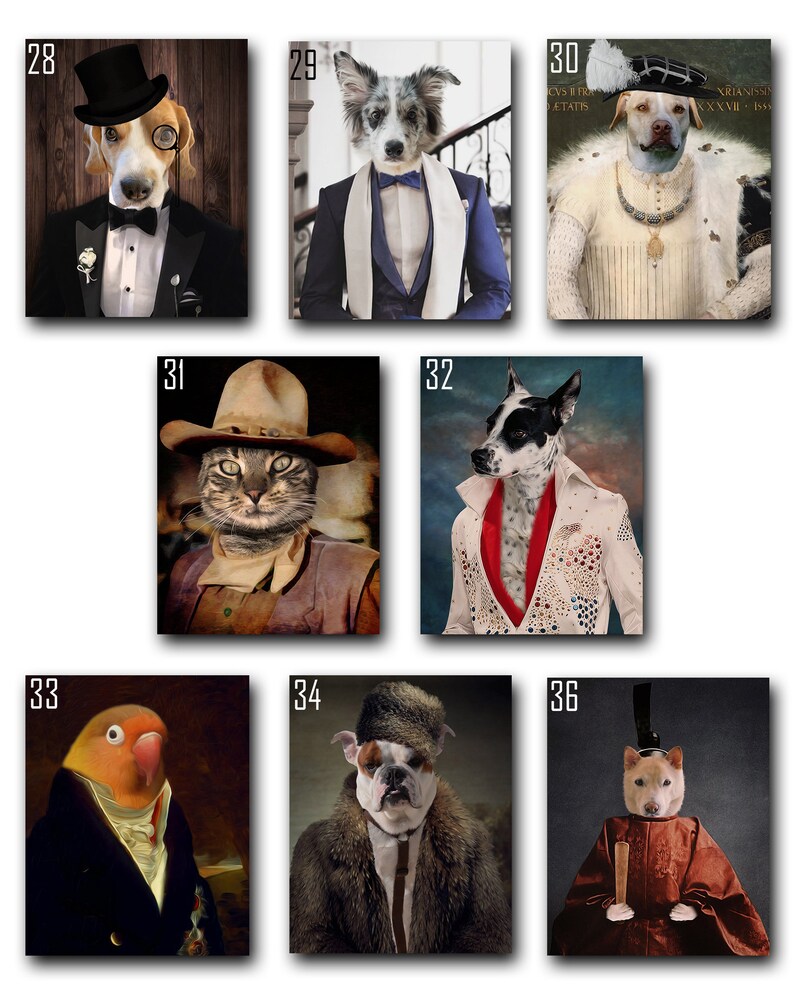 Sea Captain Dog Portrait, Naval Officer Pet Portrait, Custom Cat Gift ...