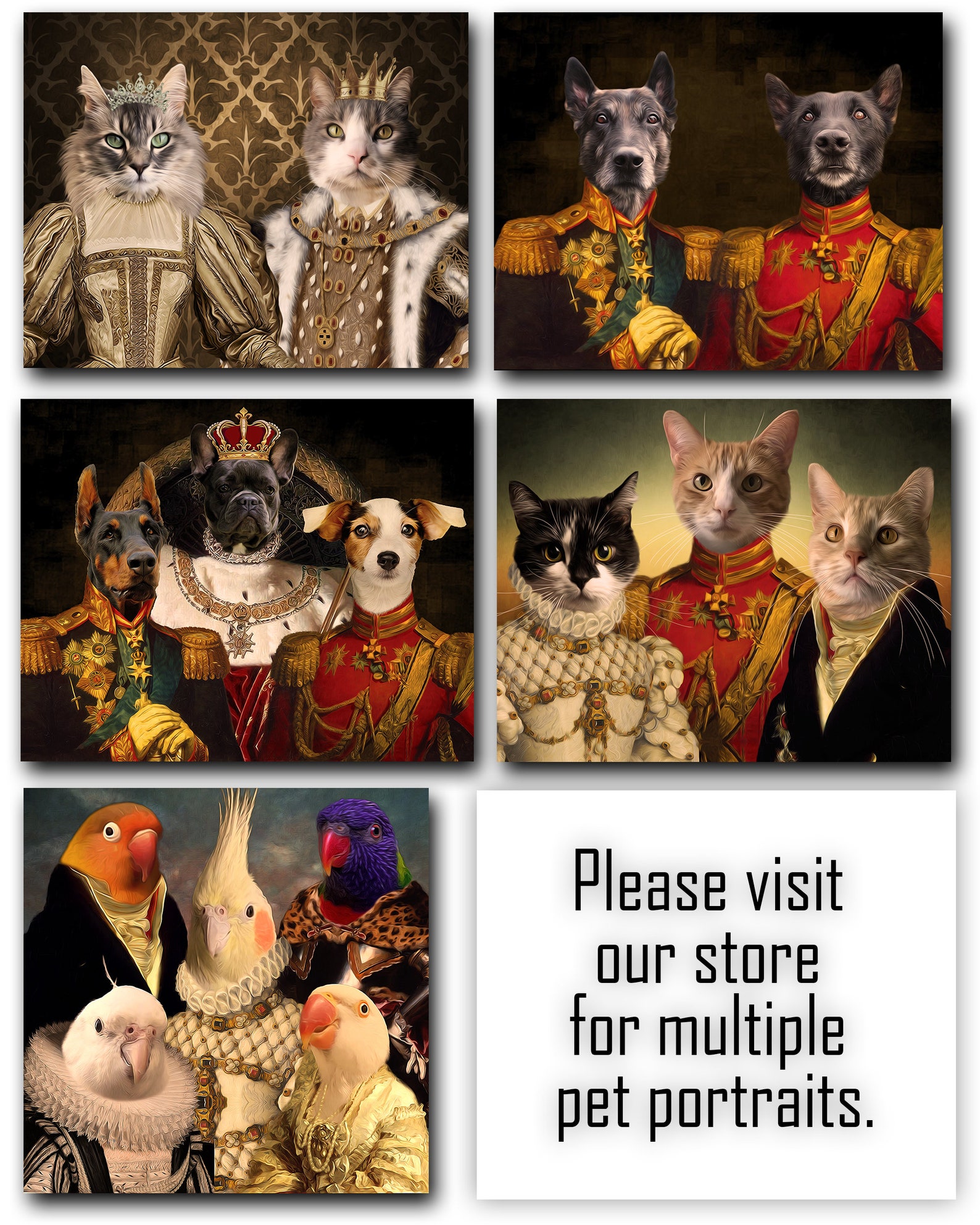 Custom Cockatiel Bird Portrait, Royal Pet Portrait,custom Lovebird Gift ...