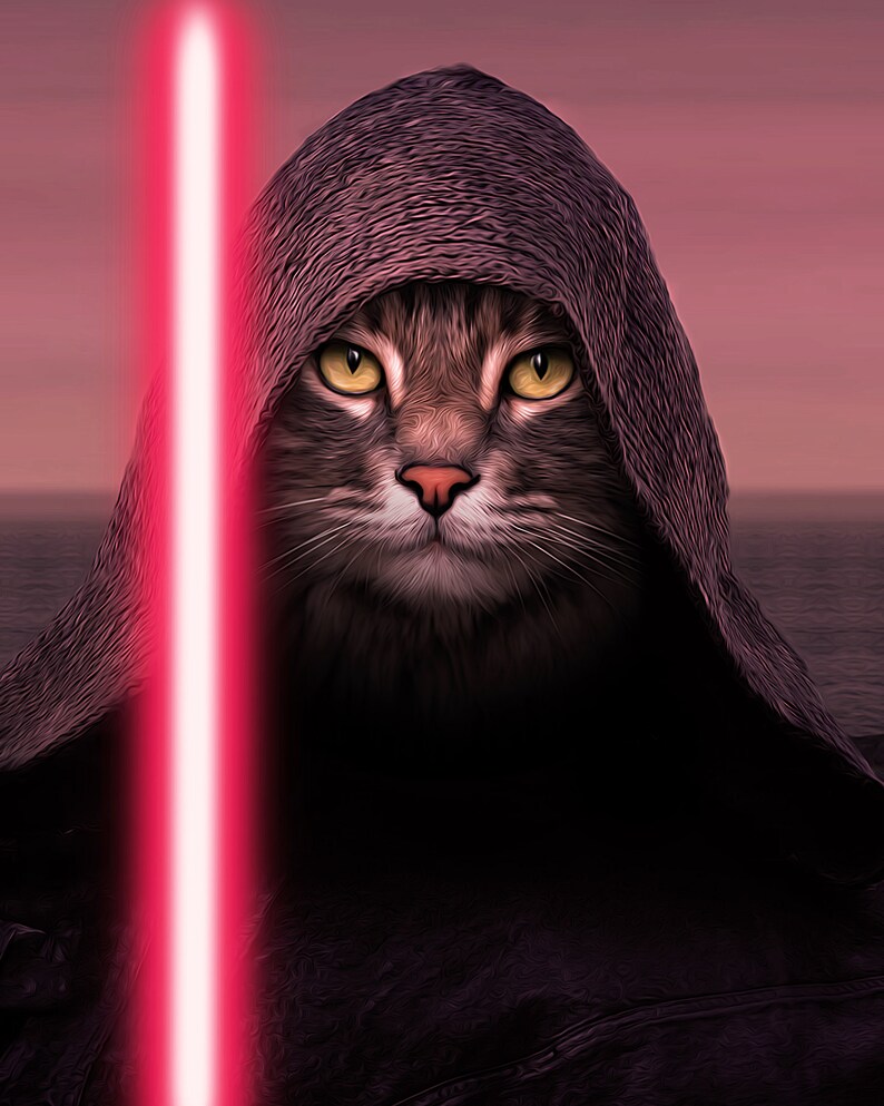 Custom Star Wars Pet Portrait Luke Skywalker Dog Portrait - Etsy