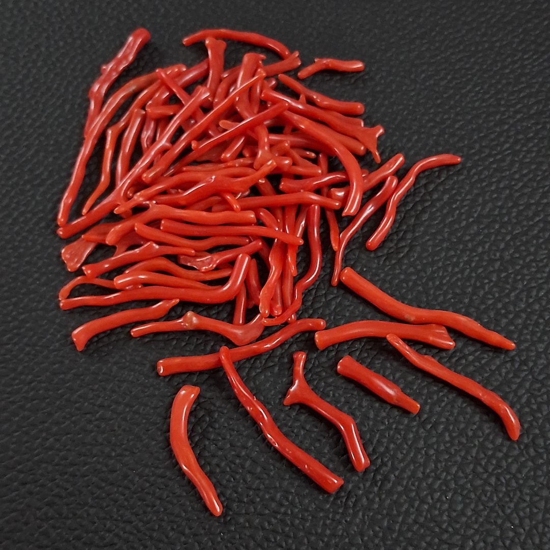 Italian Red Coral Sticks: 50 Cts, Polished Gemstone Branches (55 Pieces ...