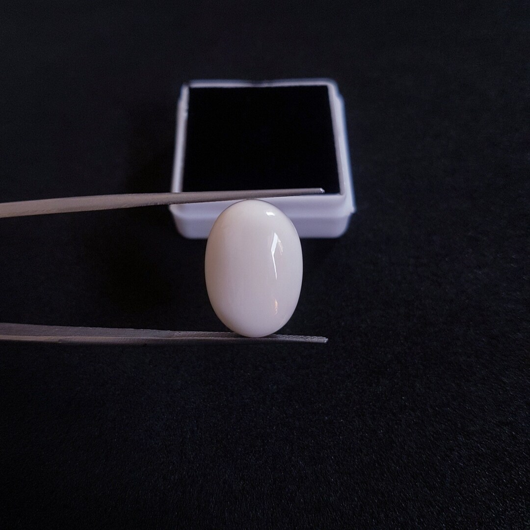 17.5x12.5x6.8mm Natural Deep Sea Angel Skin Color Coral Oval - Etsy