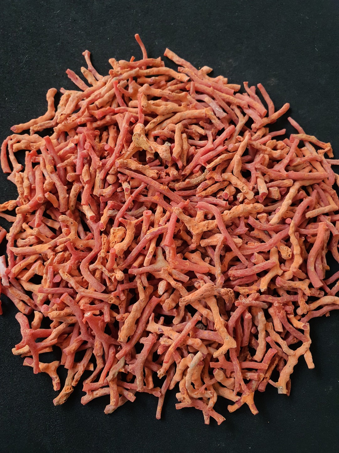 Coral Sticks Branch Rough Coral Lot!! Mediterranean Sea Italian Red ...