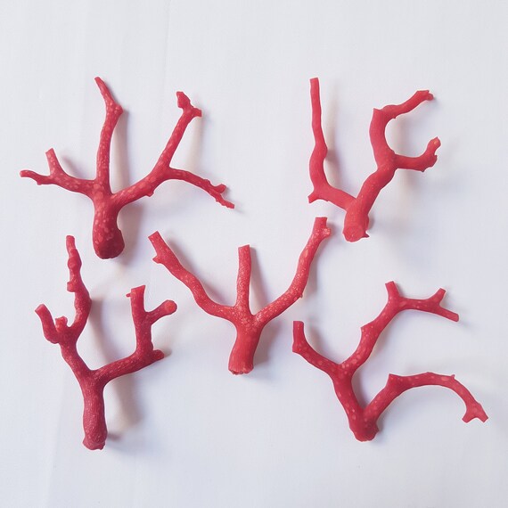 Jewelry Making & Beading Jewelry & Beauty Gemstones Coral Rough Lot 100 ...