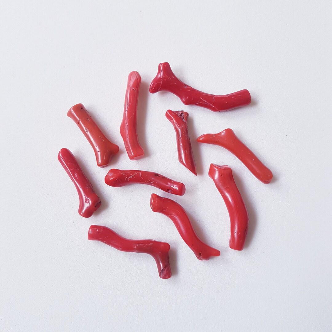 Italian Red-orange Coral Sticks: Polished Loose Branches, Natural ...