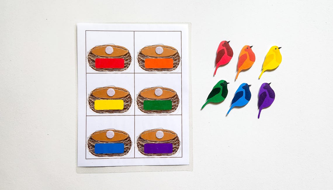 Bird Color Matching Printable Activity - Etsy