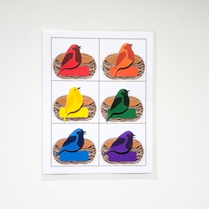 Bird Color Matching Printable Activity - Etsy