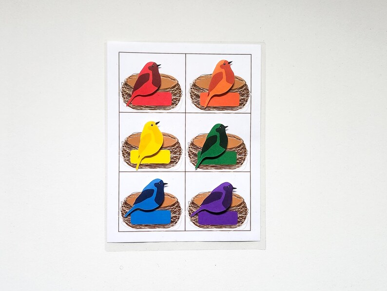Bird Color Matching Printable Activity - Etsy