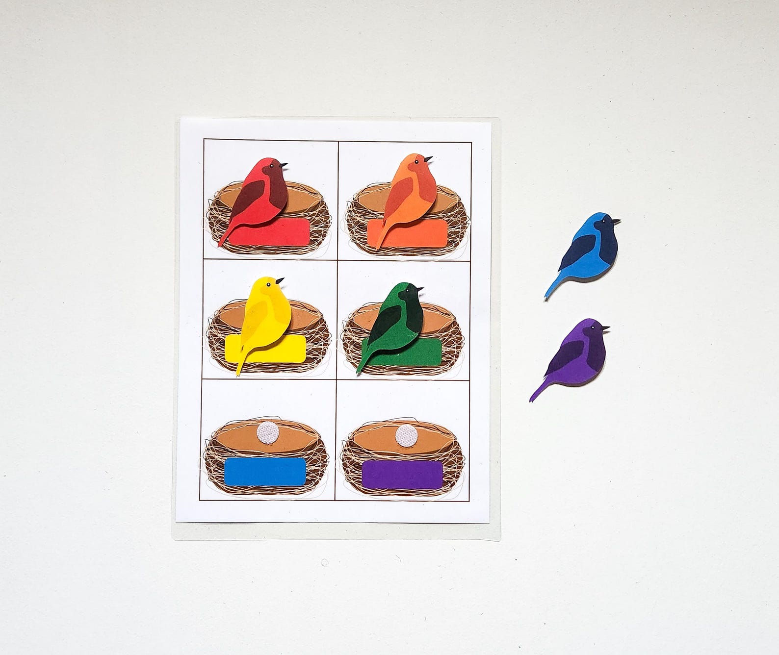 Bird Color Matching Printable Activity - Etsy
