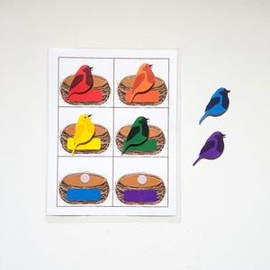 Bird Color Matching Printable Activity - Etsy