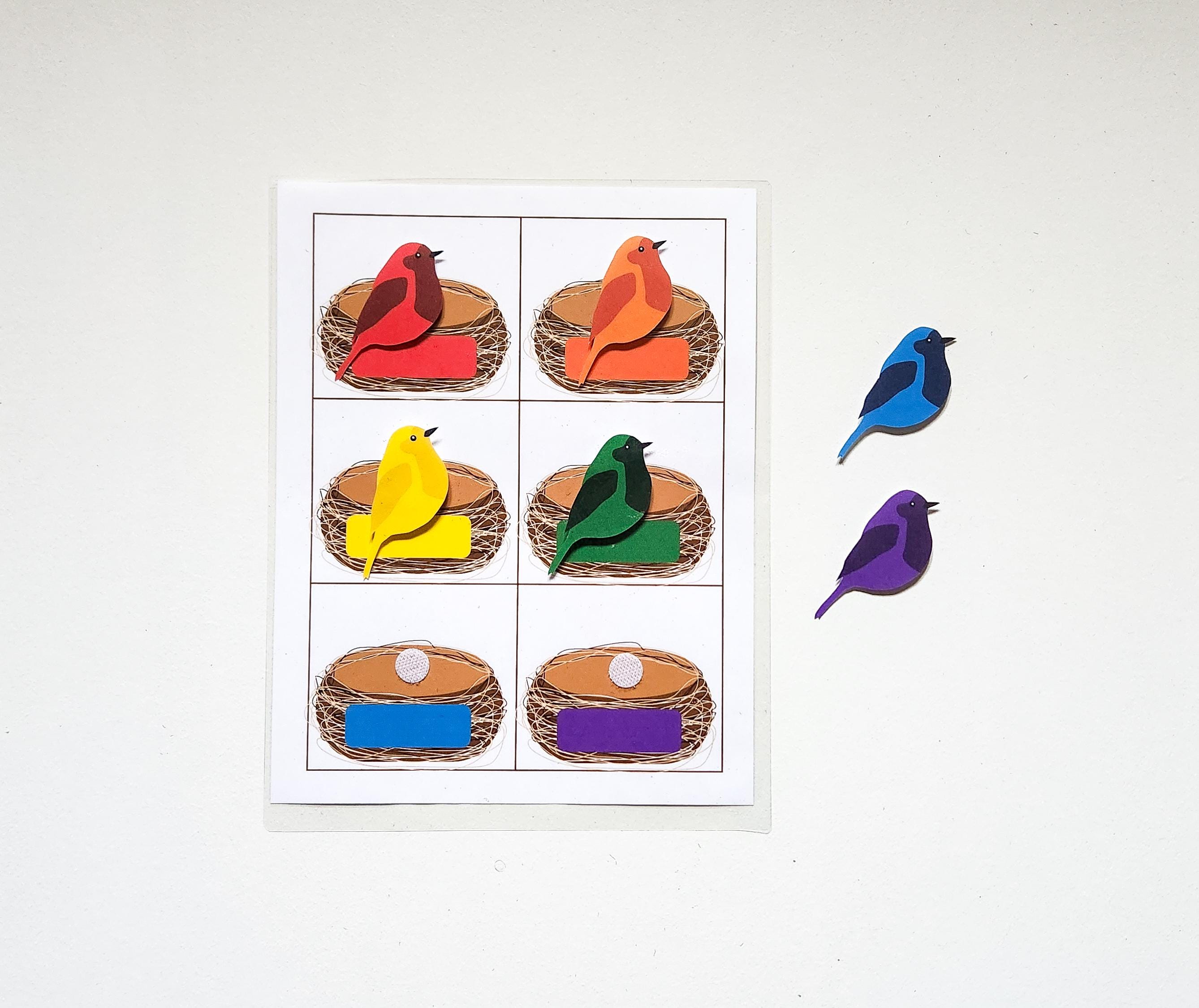 Bird Color Matching Printable Activity - Etsy