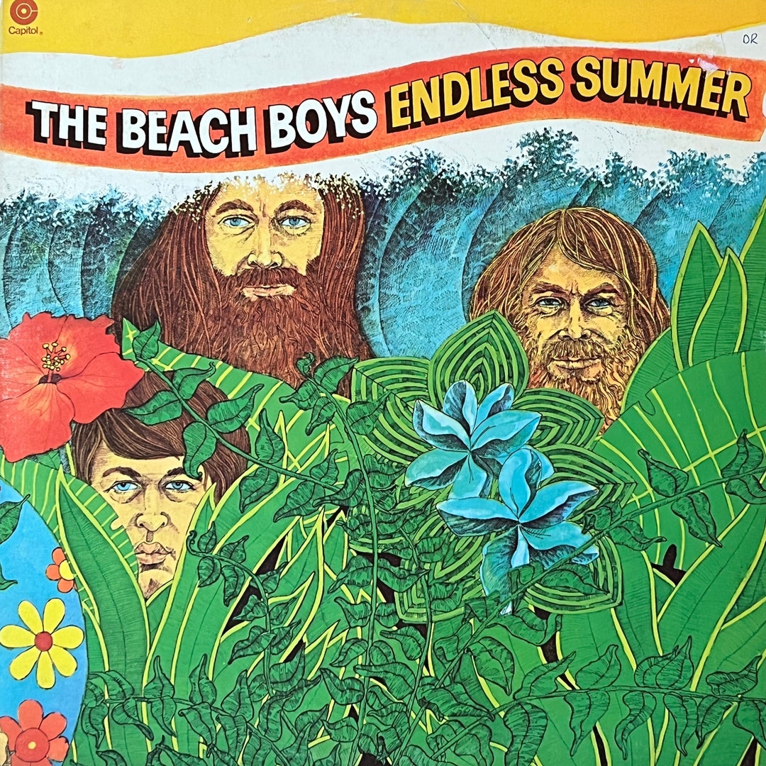 Rare Vintage 70s BEACH BOYS Endless Summer Double Record Album - Etsy