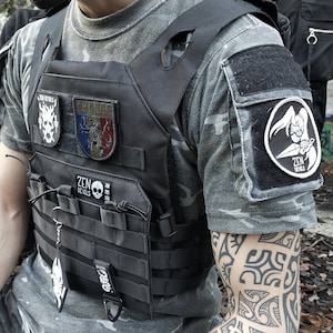 Zen Devils - Subdued France Lion Shield Velcro Patch French Army Flag ...