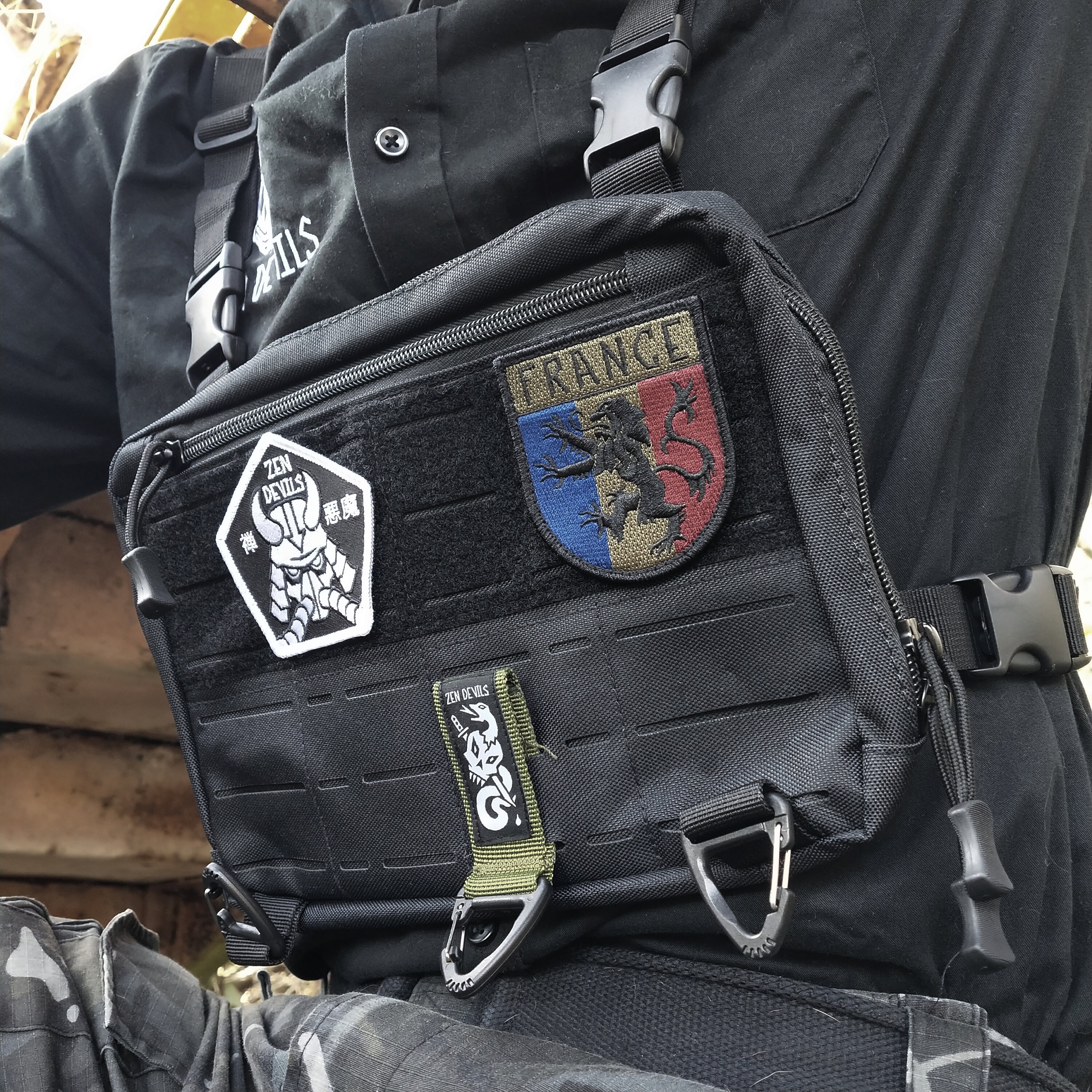 Zen Devils - Subdued France Lion Shield Velcro Patch French Army Flag ...