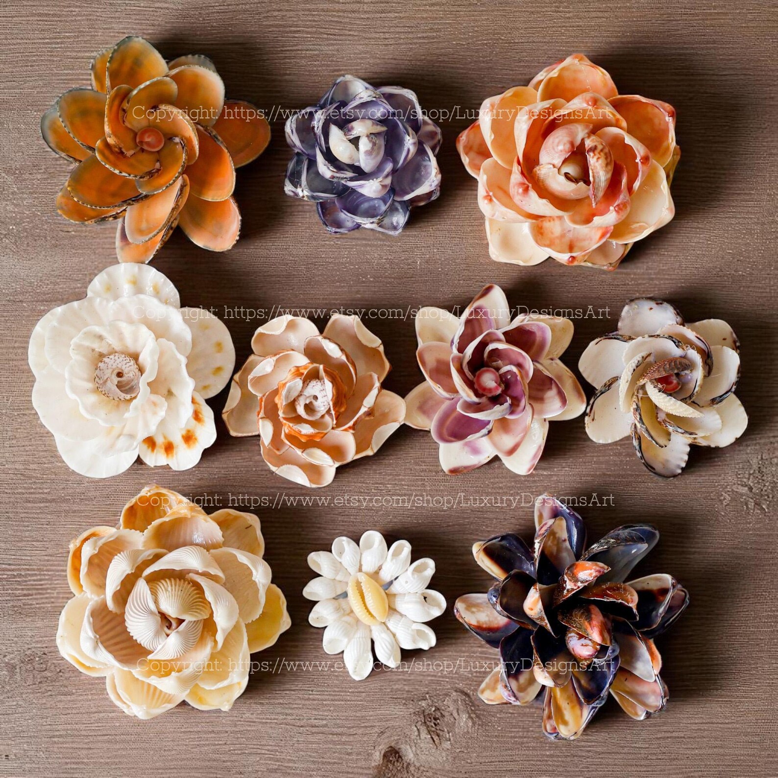 Seashell Flower Handmade From Seashell Natural Seashell Flowers Coastal ...