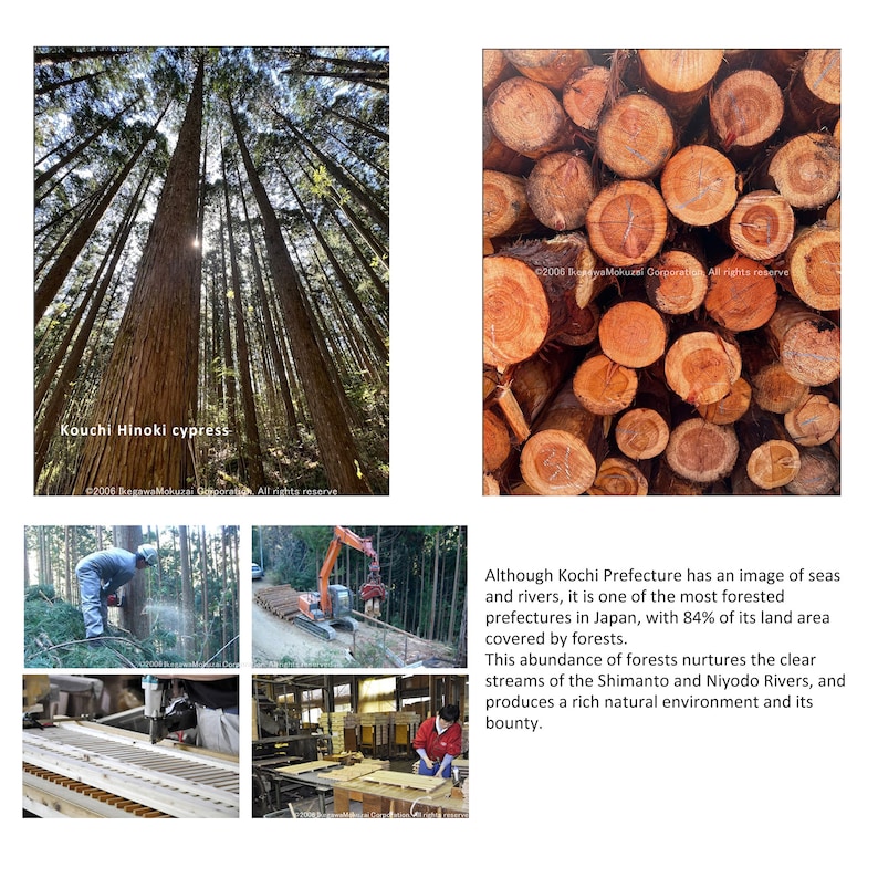 Hinoki Wood Cubes: Japanese Cypress Air Freshener Chips - Etsy