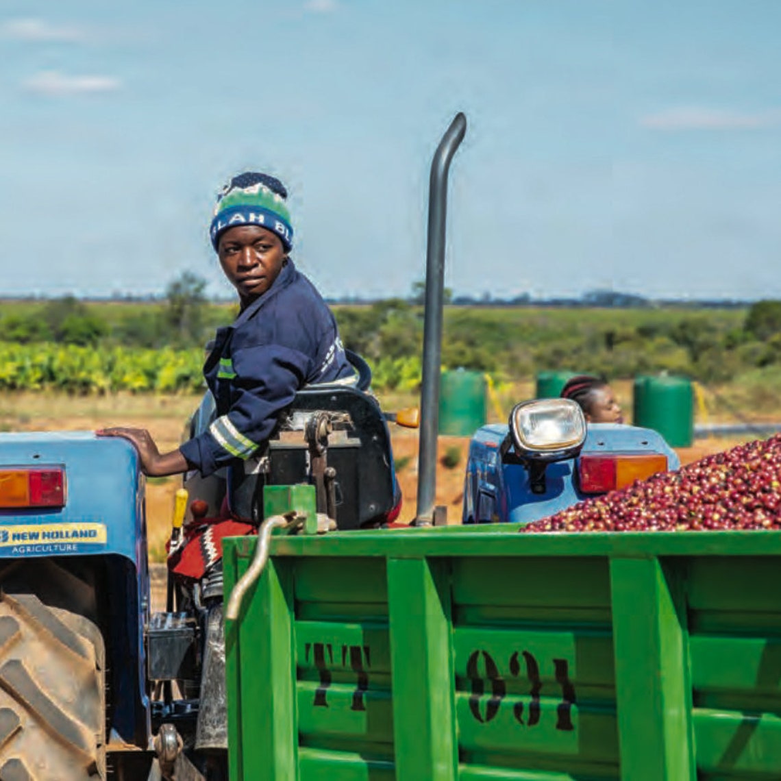African Coffee Safari Sampler/coffee Gift Set/unique Coffee Gift/coffee ...