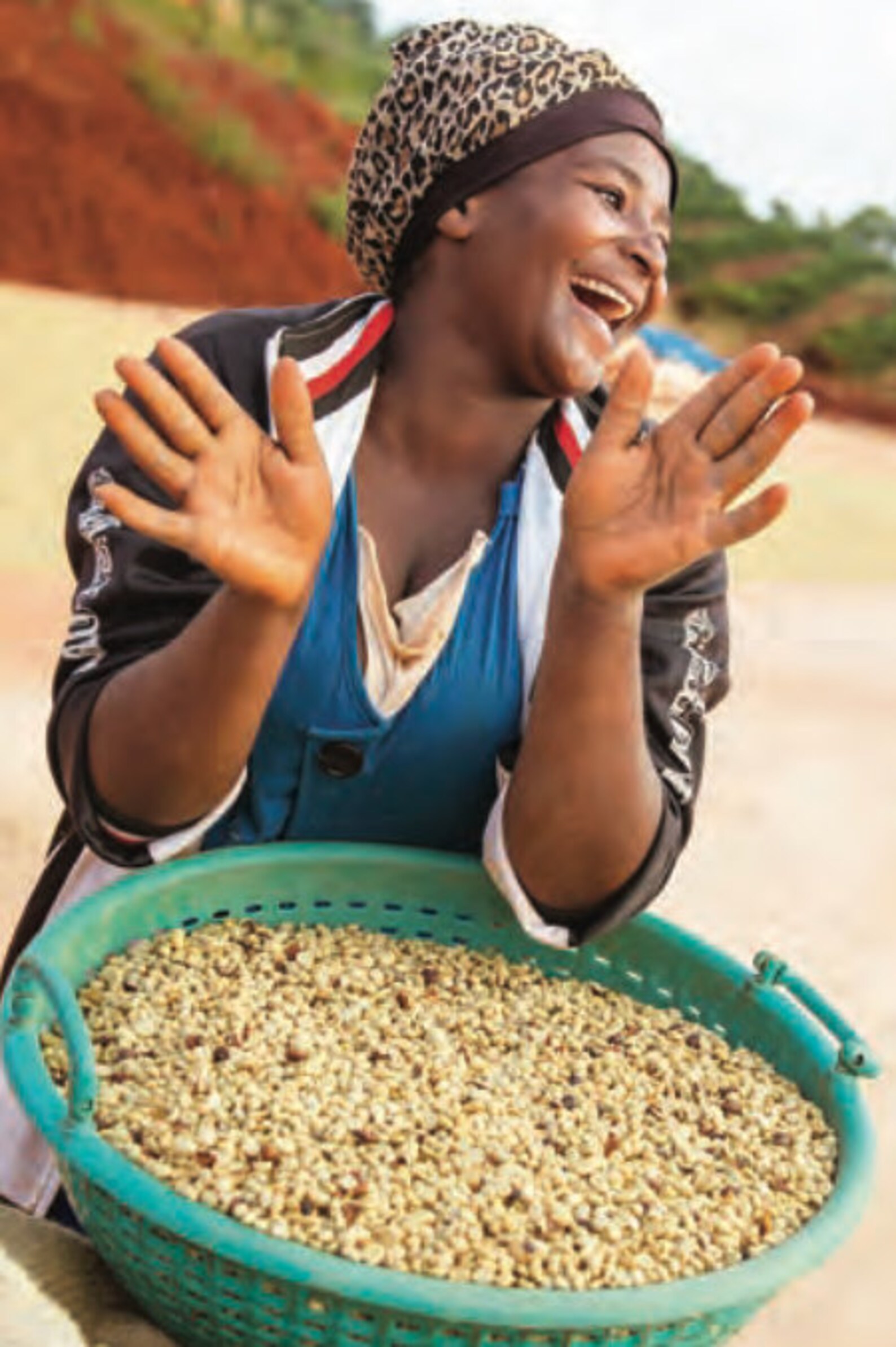 African Coffee Safari Sampler/coffee Gift Set/unique Coffee Gift/coffee ...