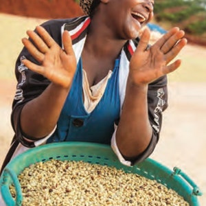 African Coffee Safari Sampler/coffee Gift Set/unique Coffee Gift/coffee ...