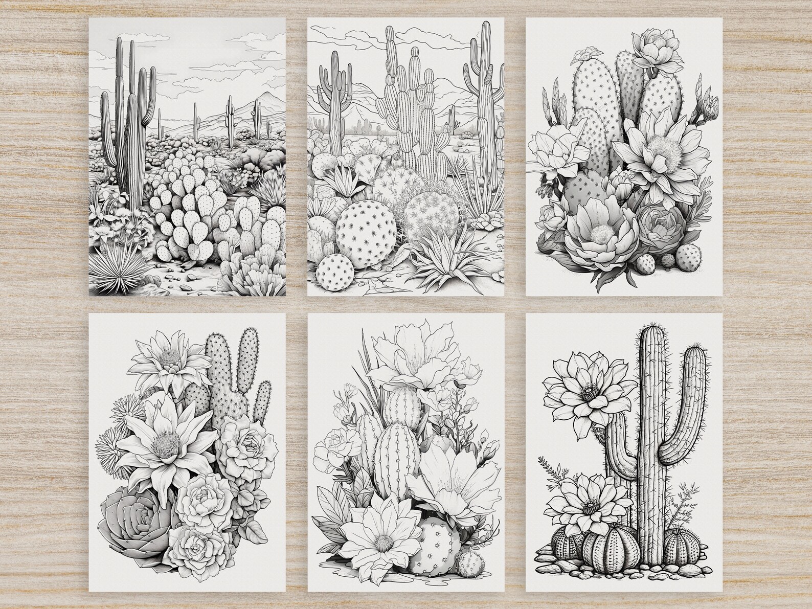50+ Floral Cactus Coloring Book, Succulent Coloring Pages, Botanical ...