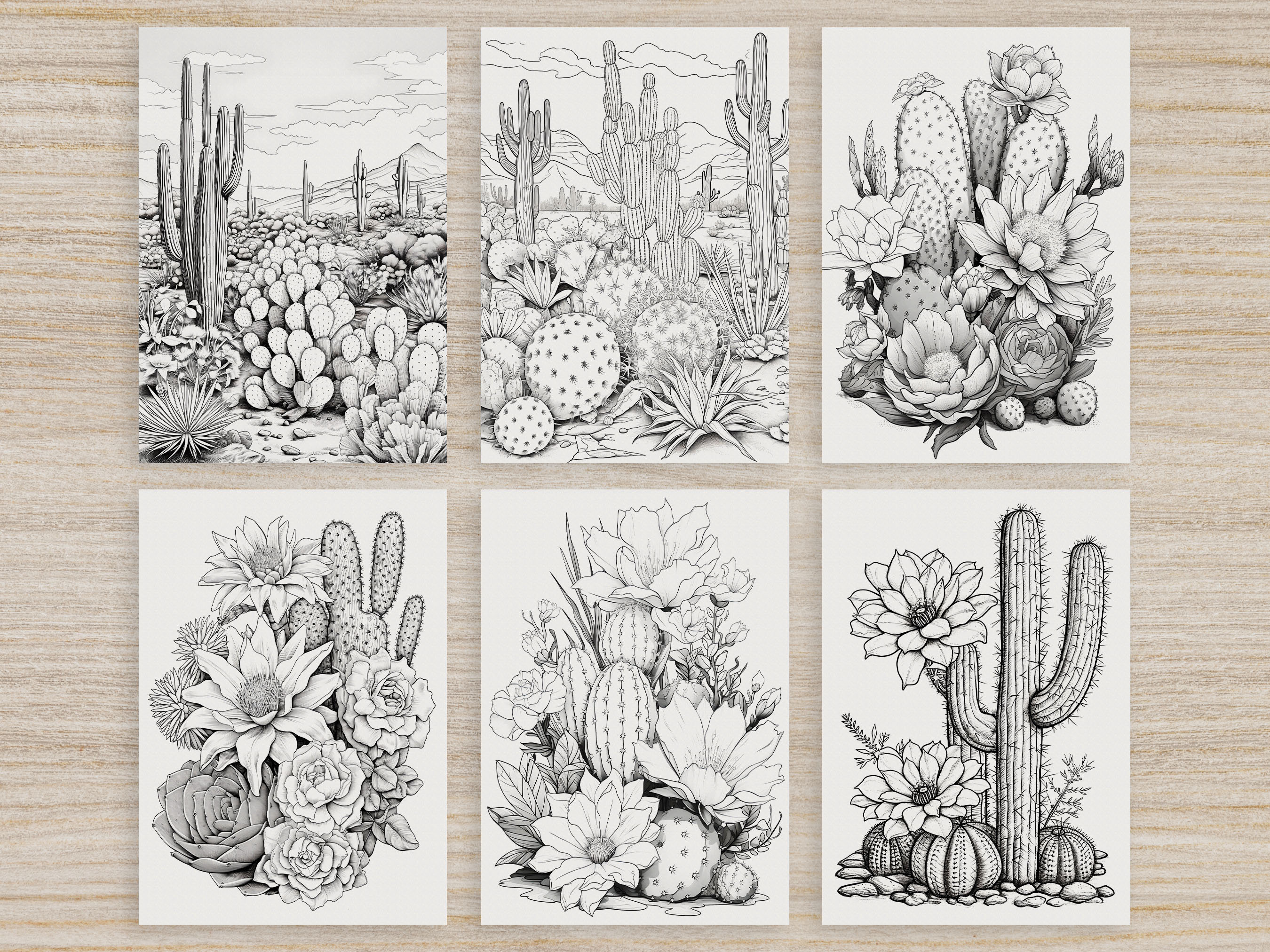 50 Floral Cactus Coloring Book, Succulent Coloring Pages, Botanical ...