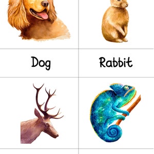 Montessori Bilingual Animal Matching and Memory Game | Montessori ...